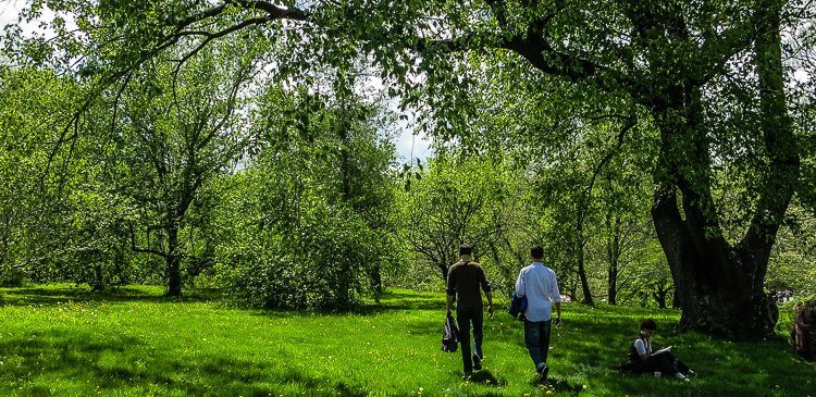 Can We Shift Education's Trajectory With a Teacher PR Corps?